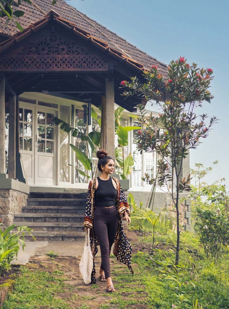 Gallery Archive - SpiceTree Rajakumari