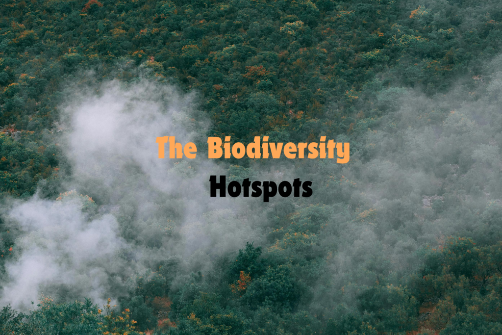 Biodiversity Hotspots: Protecting Earth's Precious Jewels